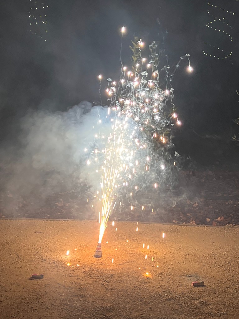 Exploring Deepavali Through The Firework Maker’s Daughter – Nourish-n ...